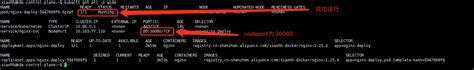在Ubuntu LTS上搭建Kubernetes集群 阿里云开发者社区