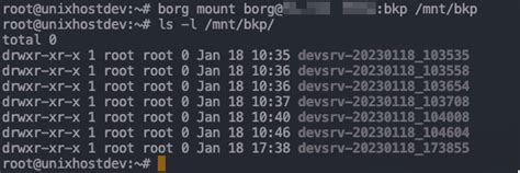 Borg Backup Unixhost Blog