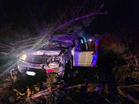 Tree Falls On Car Passengers Uninjured Pakenham Gazette