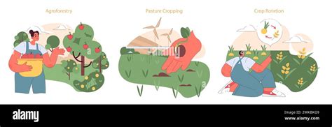 Agroforestry Trees Stock Vector Images Alamy