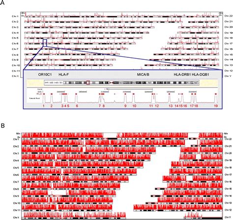 A Comprehensively Molecular Haplotype Resolved Genome Of A European Individual