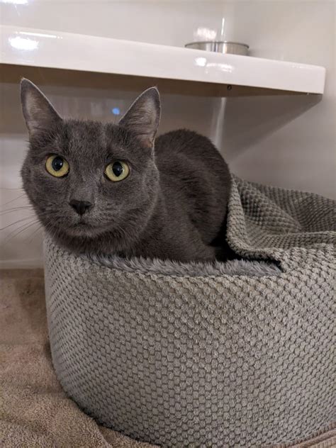 The Pixie Project What Makes The Pixie Project Special Non Profit