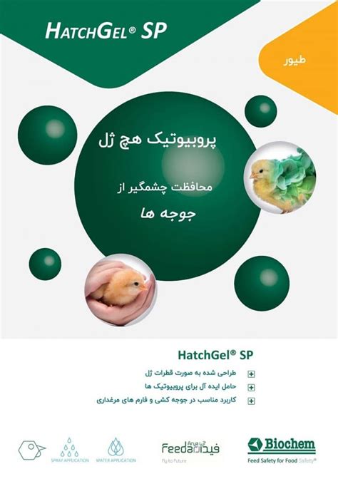 پروبیوتیک هچ ژل Hatchgel® Sp آریا بهداد فیدار ، پرواز به سوی آینده