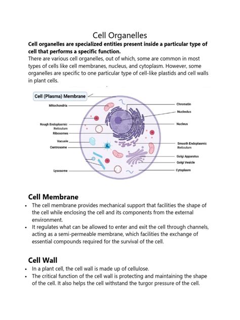 Science Cell Pdf