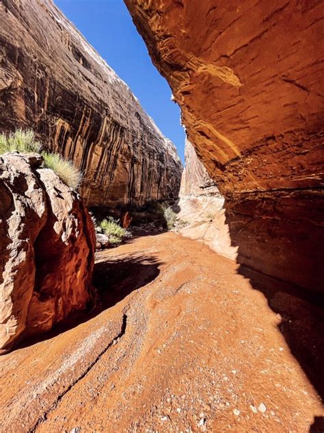 How To Hike The Grand Wash Trail Capitol Reef National Park