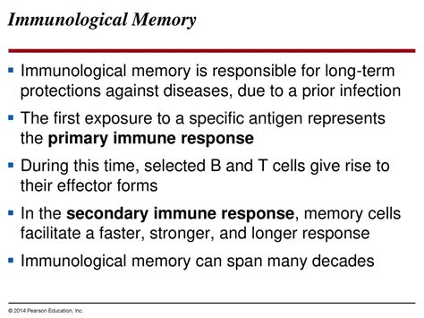Unit 64 The Immune System Ppt Download