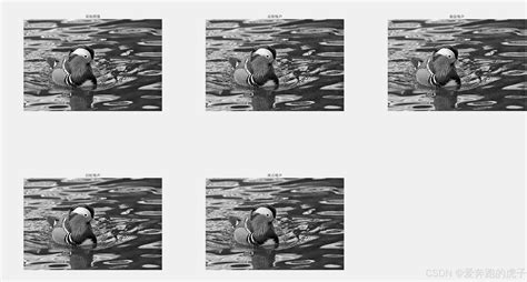 Fpga图像处理之均值滤波fpga均值滤波 Csdn博客