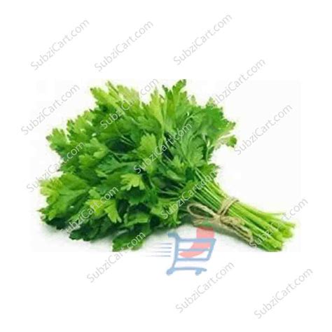 Corriander Bunch Subzicart