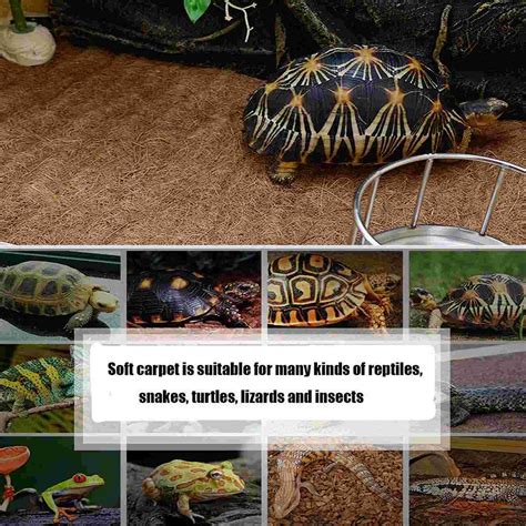 Reptile Carpet Tortoise Carpet Substrate Mat For P Grandado