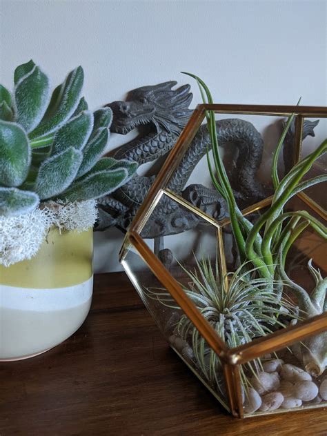 Fire Dragon Acupuncture And Massage Bainbridge Island Wa