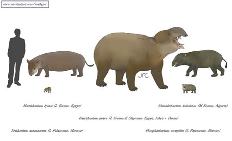 Numidotherium — хоботний з еоцену Африки 🦤 Вимерлий світ
