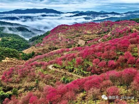 Shirong Bao（互f0，💯💯💯） Bshirong Twitter