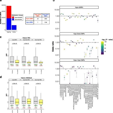 Analysis Of Methylation Shannon Entropy During Physiological Aging And