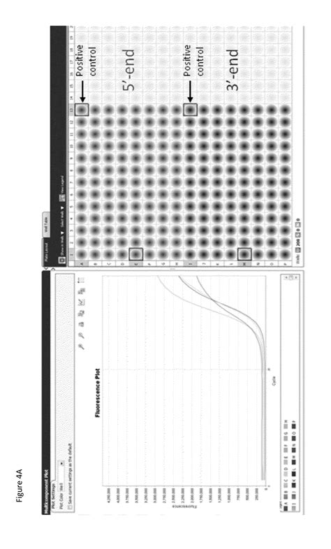 Dna Detection Patented Technology Retrieval Search Results Eureka Patsnap