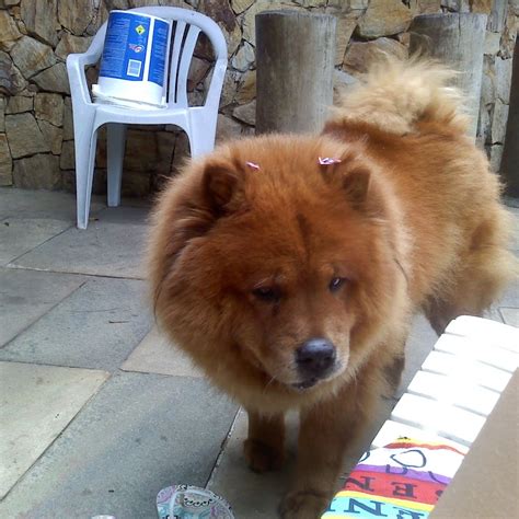 Patrick Eric Youtube