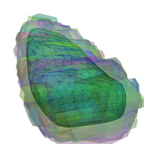 The Estimated Template Triangulated Mesh Superimposed On The