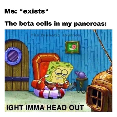The Beta Cells In My Pancreas Funny Spongebob Memes Ight Imma Head