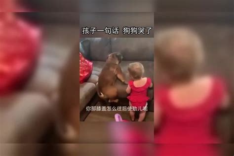 搞笑配音 那么辛苦买的房，现在还有这个机会，你不在家好好感受它，合计啥呢买的机会