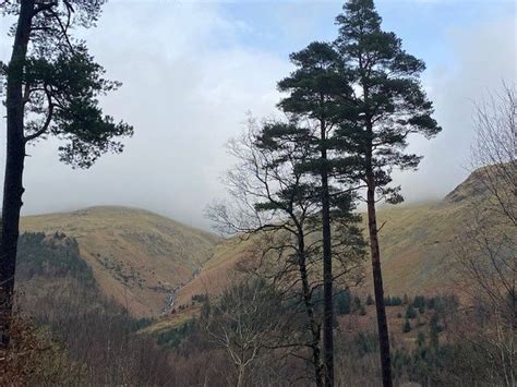 Northernsecurityltd Northerngroup Hr Hrsupport Security Sarah Caulfield