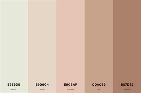 25 Best Neutral Color Palettes With Names And Hex Codes