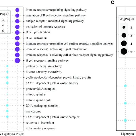 Core Modules And Their Enriched Functions A Heatmap Of Download Scientific Diagram