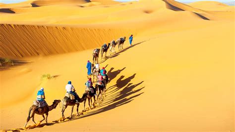 Desert Safari डजरट सफर पर जन स पहल इन टरवल टपस और टरकस