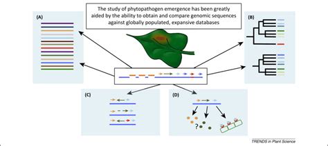 Phytopathogen Emergence In The Genomics Era Trends In Plant Science