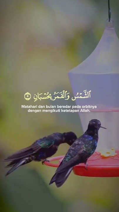 سبحان الذي 🎋سخر لنا هذا وما كنا🌿 له مقرنين Youtube