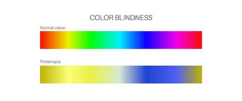 Page 2 Colorblindness Vectors And Illustrations For Free Download Freepik