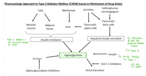 Diabetes Objective Heavy Flashcards Quizlet