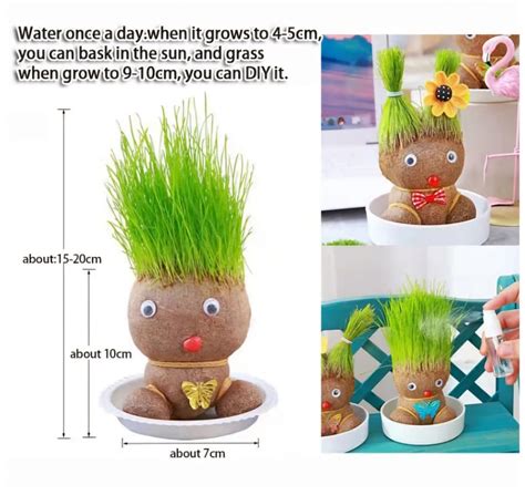 Grass Head Doll Elevation