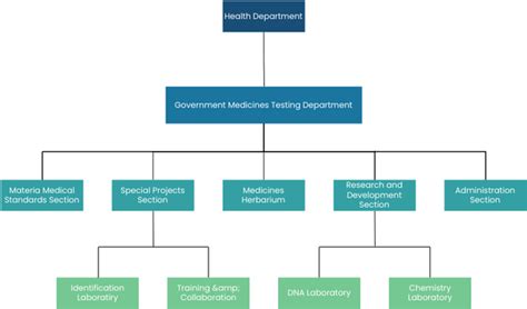 Health Department Organization Chart Visual Paradigm User Contributed