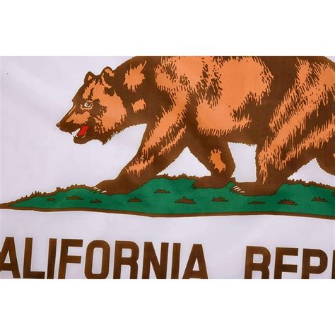 California Bear Flag For California Republic Flag Patch Video