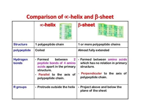 Proteins And Amino Acid Classification Structurefunctions Physicochemical Properties Ppt