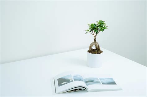 Principles Of Effective Web Design