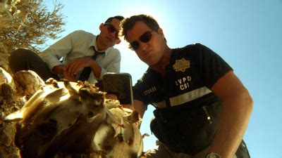 Csi Crime Scene Investigation Season 13 Episodes Watch On Paramount