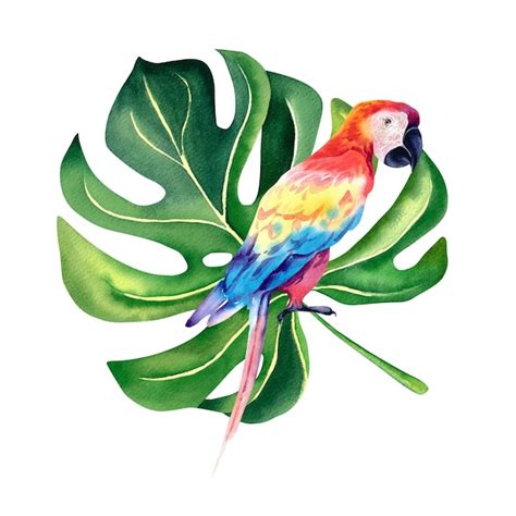 Premium Photo Red Macaw Parrot On The Background Of Monstera
