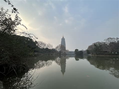 Level We 5 We层群 割裂室联合站点