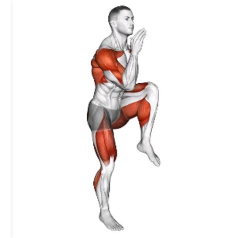 High Knee Run By Albert Tiger Exercise How To Skimble