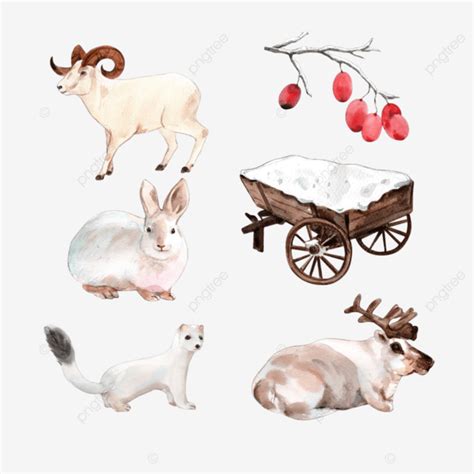 白い背景の上の隔離された水彩冬動物イラストのセットイラスト画像とpngフリー素材透過の無料ダウンロード Pngtree