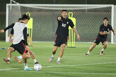 2022 카타르 손흥민 김민재 황의찬 등 유럽파가 뚫어야 16강 길이 열린다 파이낸셜뉴스