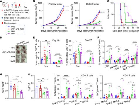 Single Dose Injectable Nanovaccine In Hydrogel For Robust Immunotherapy Of Large Tumors With