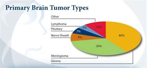 Tumor Brain Tumor Types