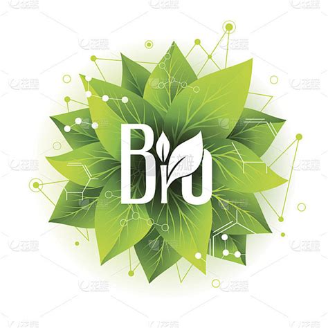 生物摘要标签与叶。