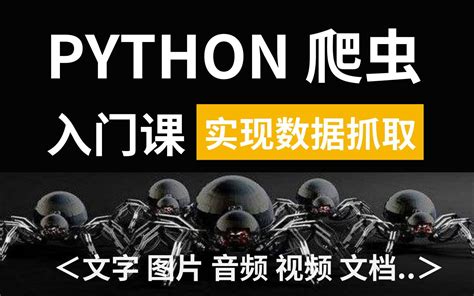 Python爬虫入门课 如何实现数据抓取 ＜文字 图片 音频 视频 文档＞ Python芊 Python芊 哔哩哔哩视频