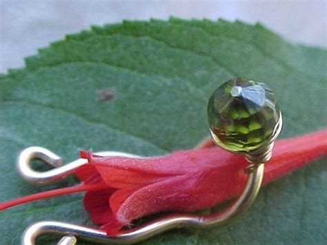 Hood Clit Piercing Bosmogelas