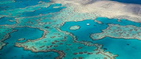 La Gran Barrera De Coral Un Tesoro Natural De Australia
