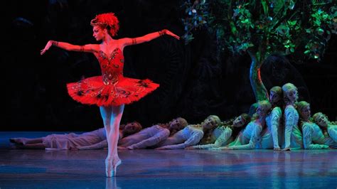 Images From The Firebird Ballet