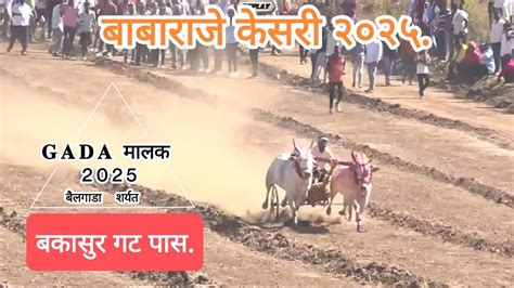 बकासुर And रामा गट पास बाबाराजे केसरी २०२५ गट क्र ०५ Bakasur Gatpass