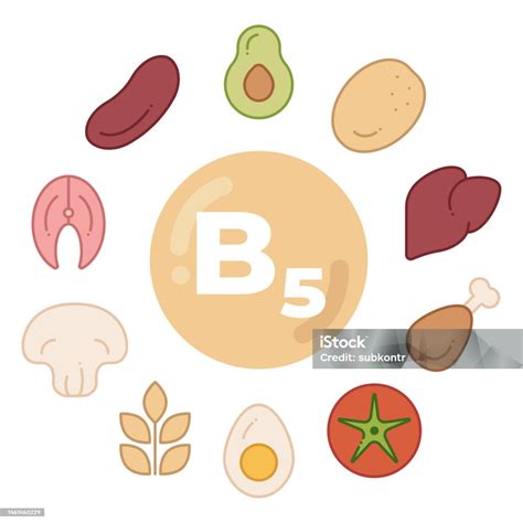 Foods Rich In Vitamin B5 Stock Illustration Download Image Now